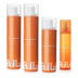 Paul Labrecque | Straight Hair Care Collection | Save 10% + Free Ship